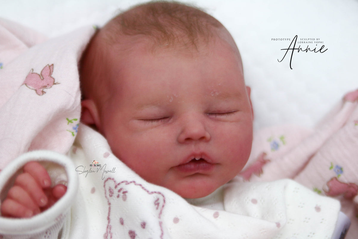 Ready To Ship Prototype Gracie Faber Reborn Baby – Reborn, Sweet