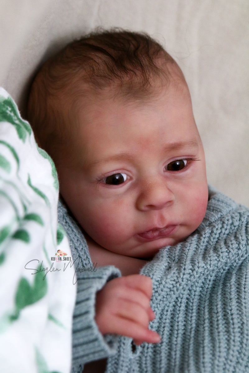 LAYAWAY PROTOTYPE Nikolas by Doris Moyers Hornbogen Reborn Baby Boy Do ...